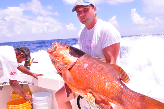 Snapper | SNAPPER FISHING CANCUN | Snapper FISHING ISLA MUJERES MEXICO ...